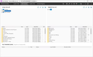 N-able Take Control Reviews 2025: Details, Pricing, & Features | G2