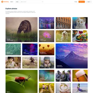 Vecteezy Reviews 2025: Details, Pricing, & Features | G2