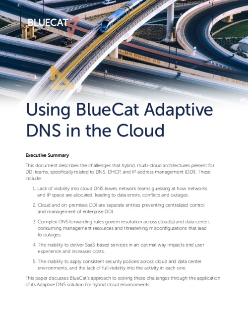 BlueCat Integrity Reviews 2025: Details, Pricing, & Features | G2