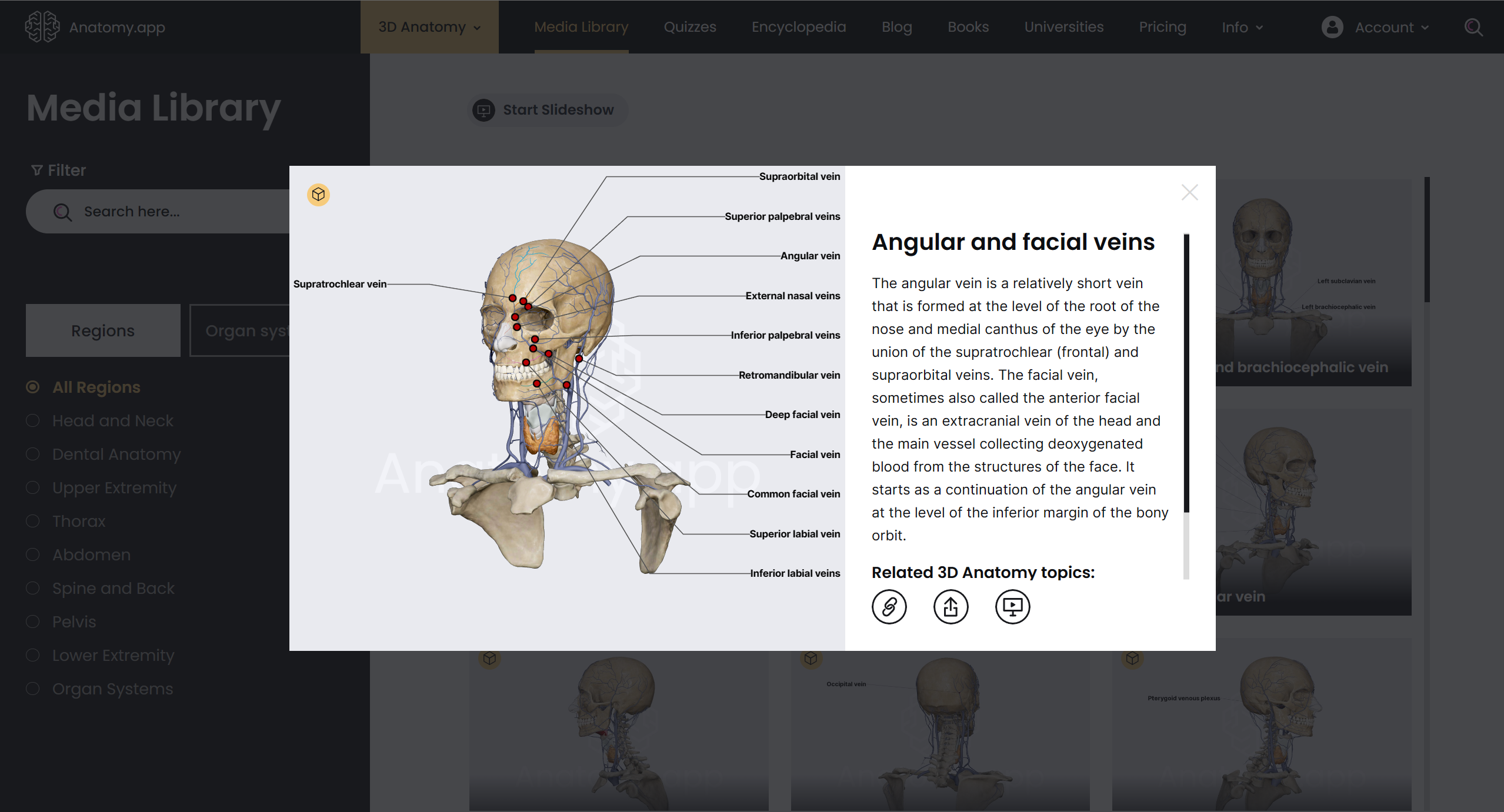 Anatomy.app for Business Reviews 2025: Details, Pricing, & Features | G2