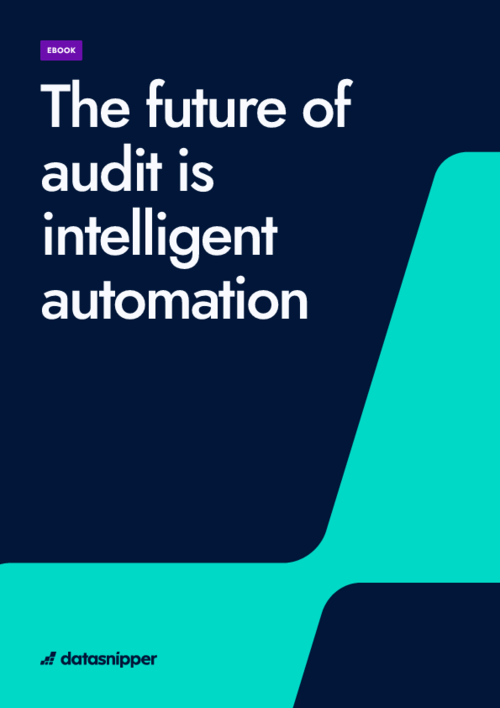 DataSnipper Reviews 2025: Details, Pricing, & Features | G2