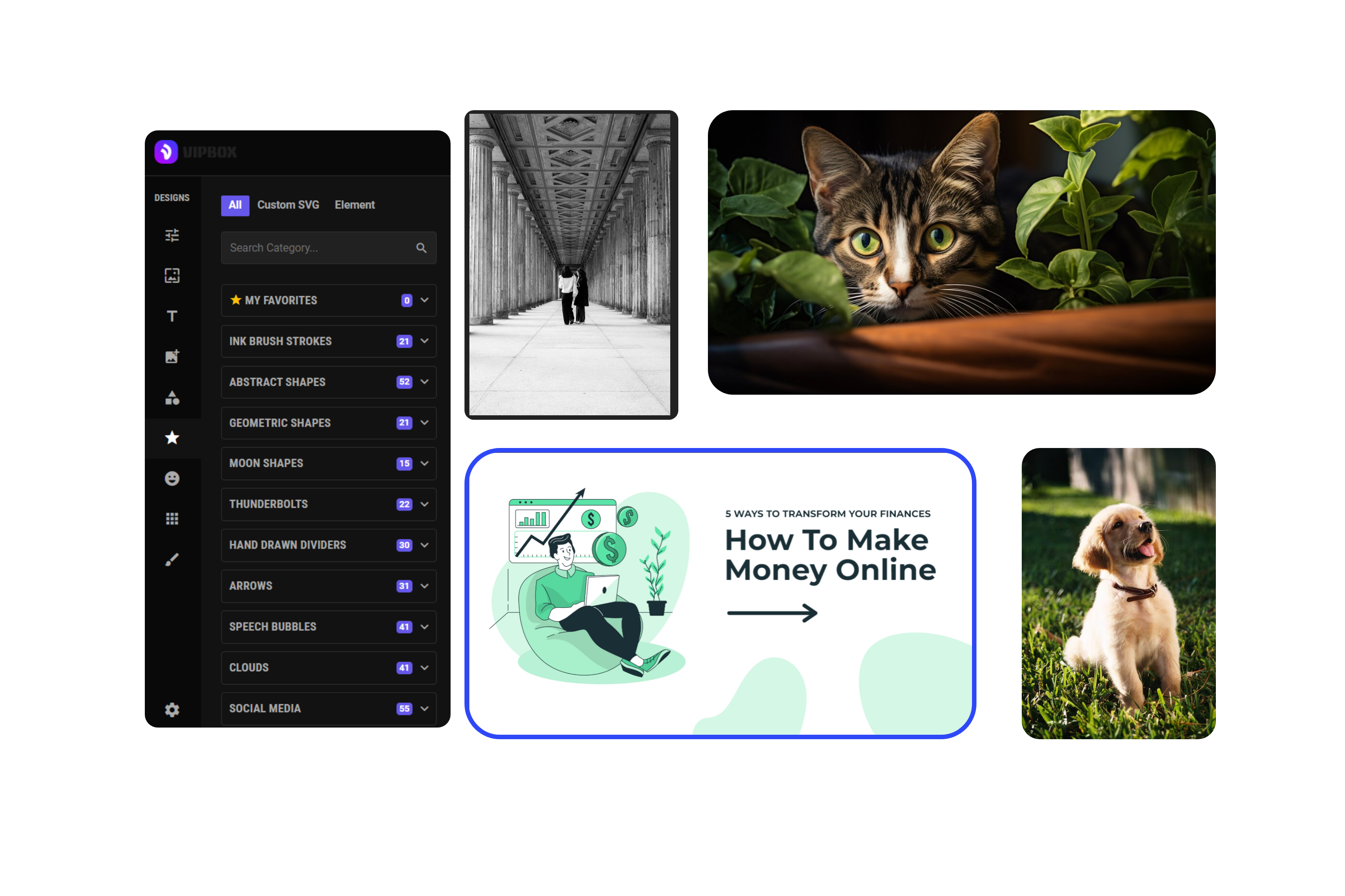 Vipbox App Reviews 2025: Details, Pricing, & Features | G2