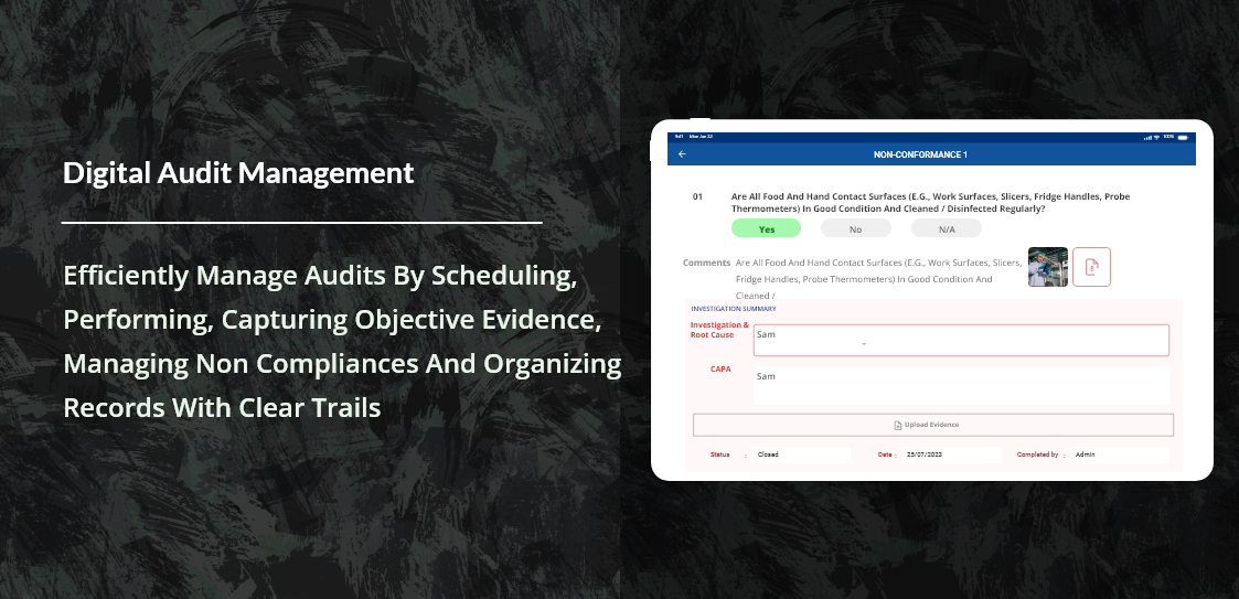 Smart Audit Reviews 2026: Details, Pricing, & Features | G2