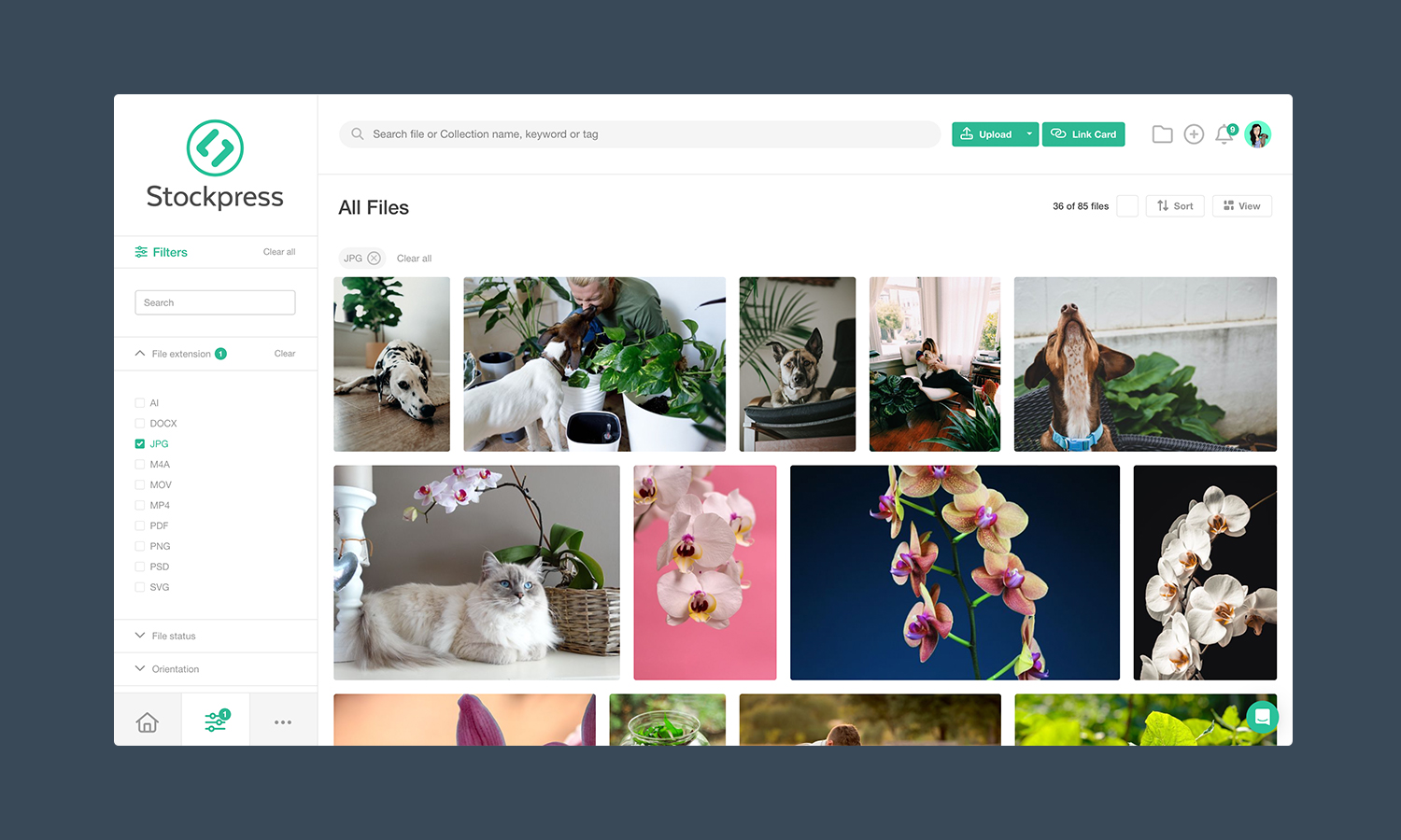 Stockpress Reviews 2024: Details, Pricing, & Features | G2