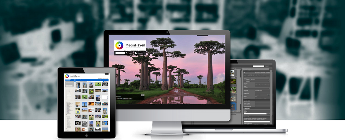 MediaHaven by Zeticon Reviews 2026: Details, Pricing, & Features | G2