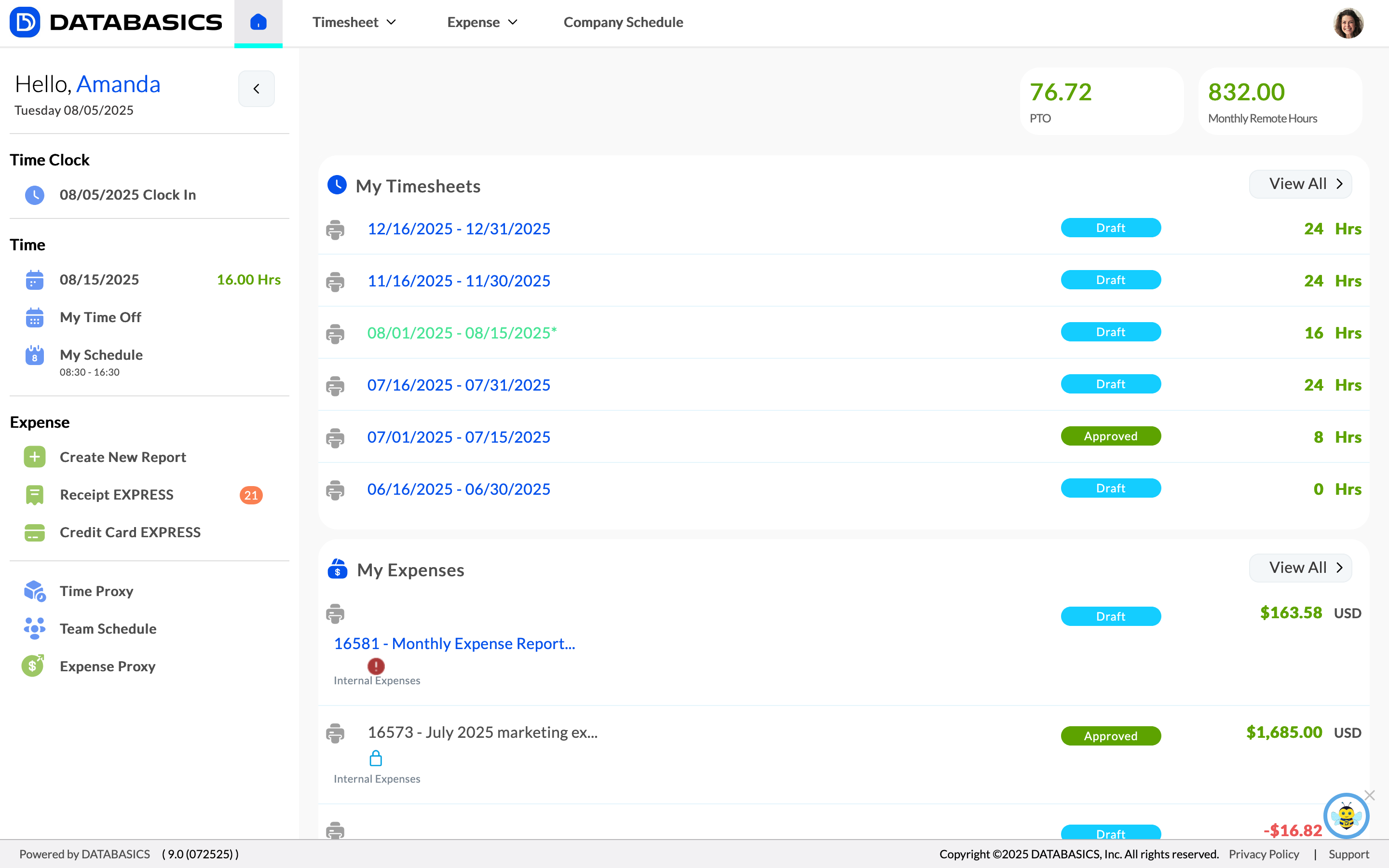 DATABASICS Time & Expense Reviews 2025: Details, Pricing, & Features | G2