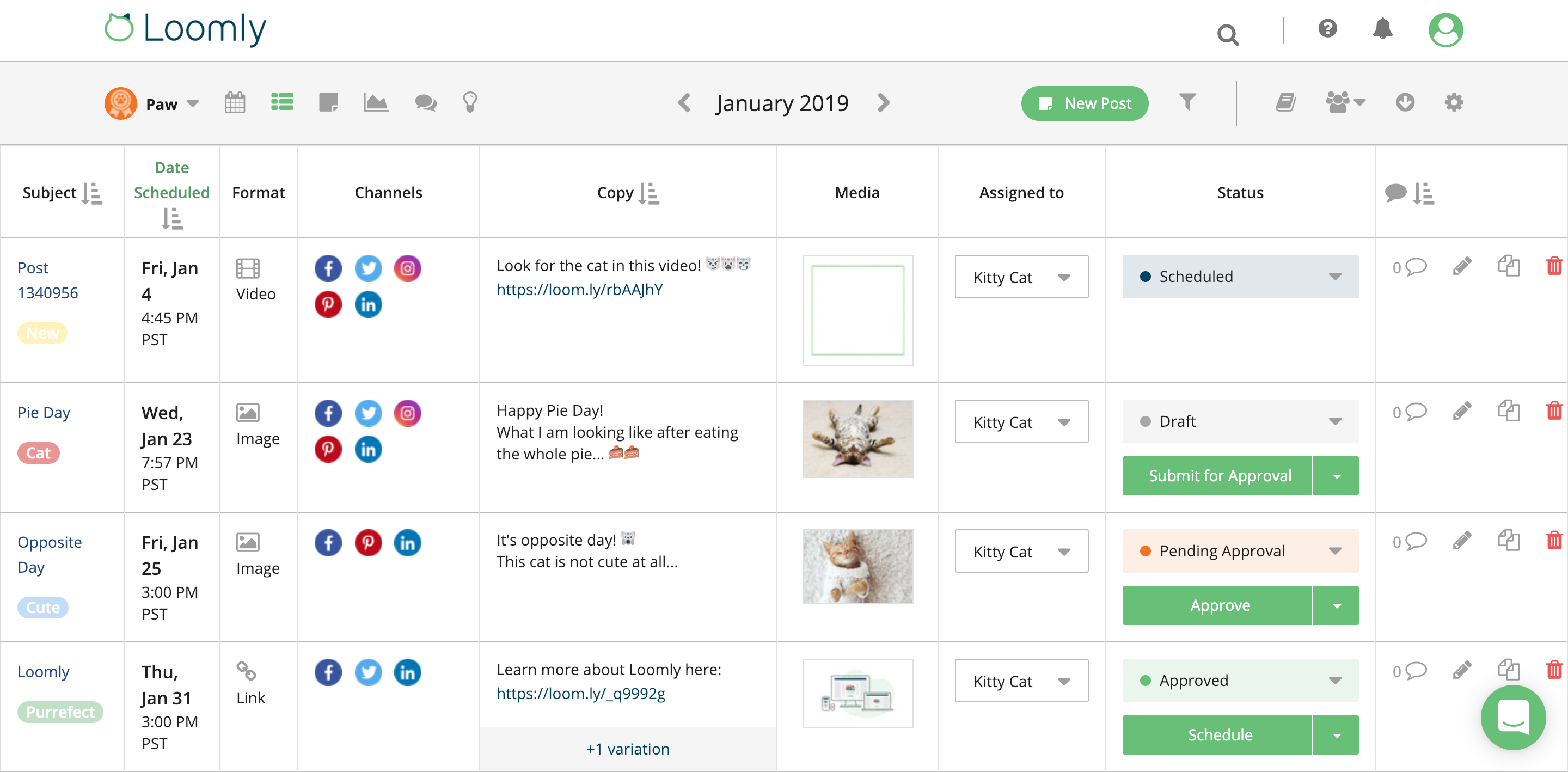 Loomly Reviews 2024: Details, Pricing, & Features | G2
