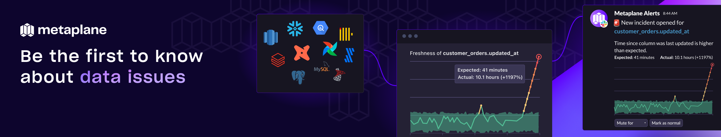 Metaplane Features | G2