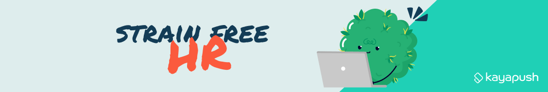 KayaPush Pricing 2025