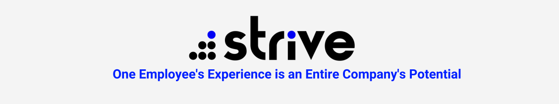 Strive Pricing 2025
