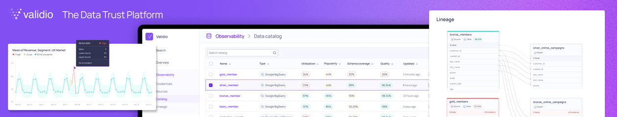 Validio Reviews 2024: Details, Pricing, & Features | G2