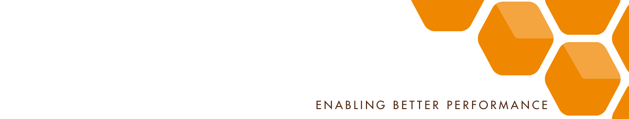 Hypergene Pricing 2025