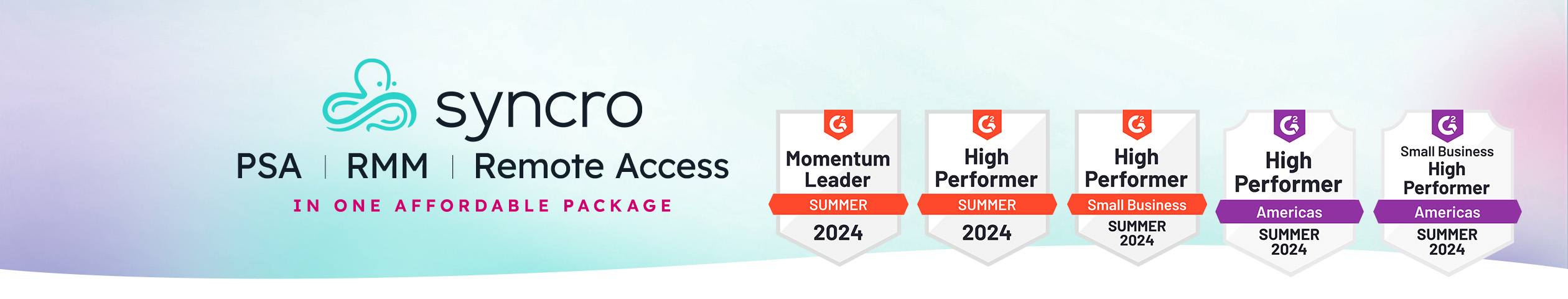 Syncro Reviews 2024: Details, Pricing, & Features | G2