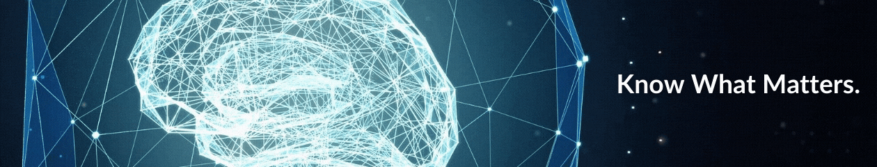 Cerego Pricing 2021 | G2