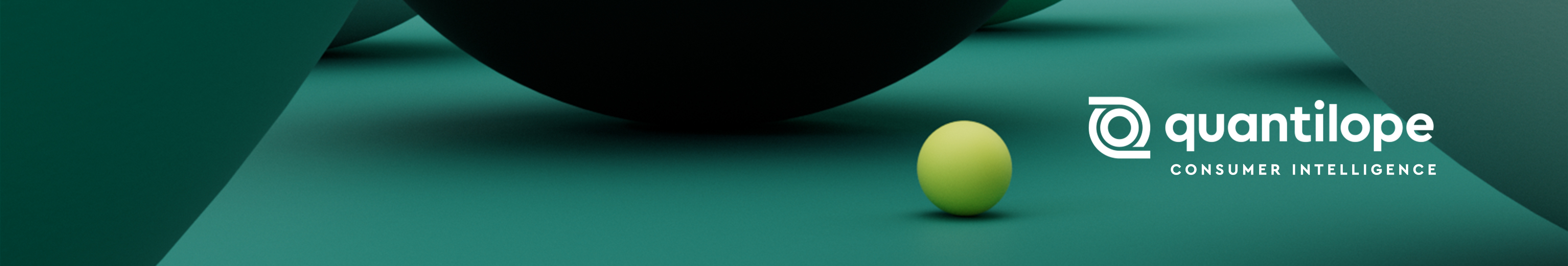 quantilope Features | G2