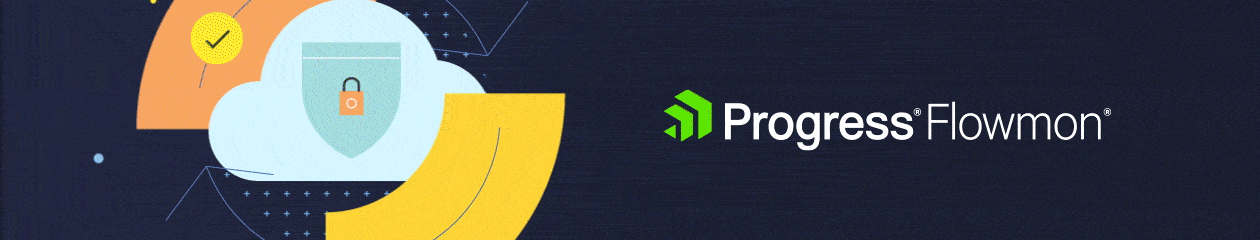 Flowmon Platform Pros and Cons | User Likes & Dislikes