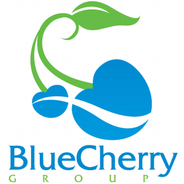Top 10 Blue Cherry Group Alternatives & Competitors in 2025 | G2