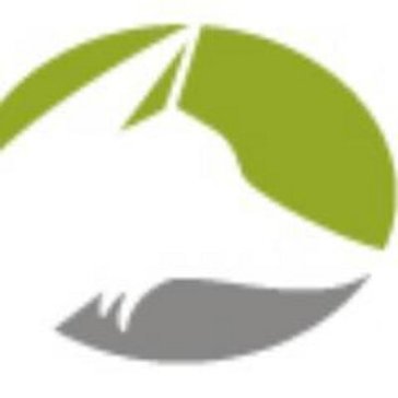 Top 10 Fennec Marketing Group Alternatives & Competitors in 2025 | G2