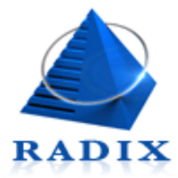 Radixweb Reviews 2022: Details, Pricing, & Features | G2