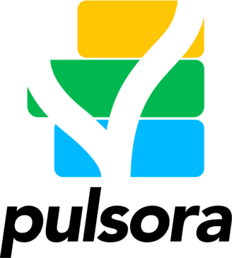 Top 10 Pulsora Alternatives & Competitors in 2024 | G2