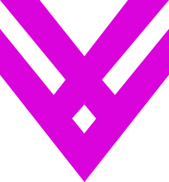 VectorX Software Expertises | G2