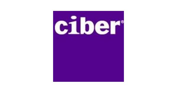 Ciber Consulting Reviews 2025: Details, Pricing, & Features | G2