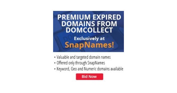SnapNames Reviews 2025: Details, Pricing, & Features | G2