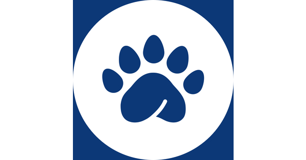 Pandapé Reviews 2025: Details, Pricing, & Features | G2