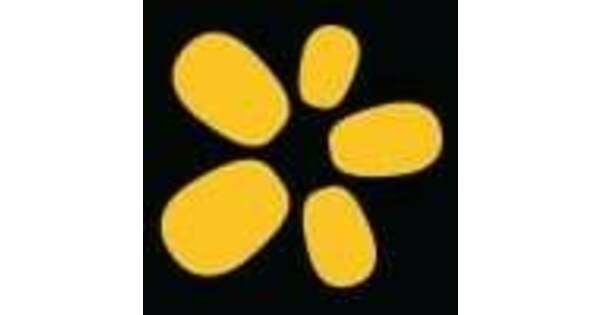 Zerve Reviews 2025: Details, Pricing, & Features | G2