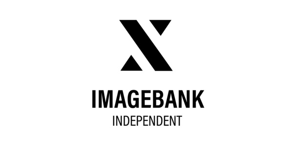 ImageBank X Reviews 2025: Details, Pricing, & Features | G2