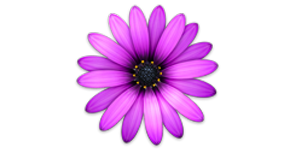 Textmate Features | G2