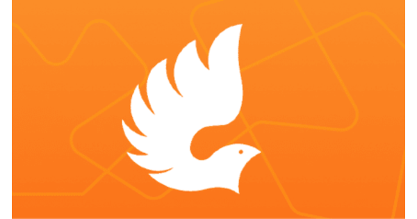 Falcon Reviews 2025: Details, Pricing, & Features | G2