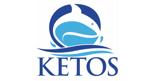 KETOS Pricing