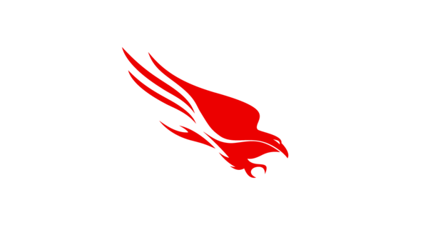 Falcon Identity protection Features | G2