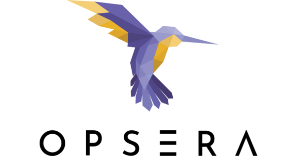 Opsera Pricing 2025