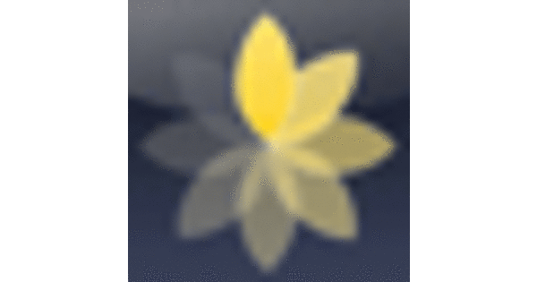 Express Animate Reviews 2025: Details, Pricing, & Features | G2