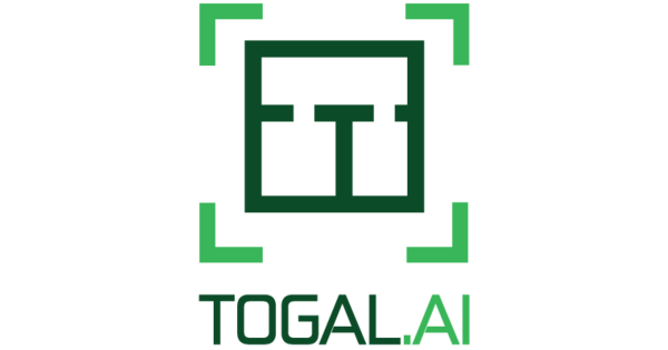 Togal.AI Features | G2