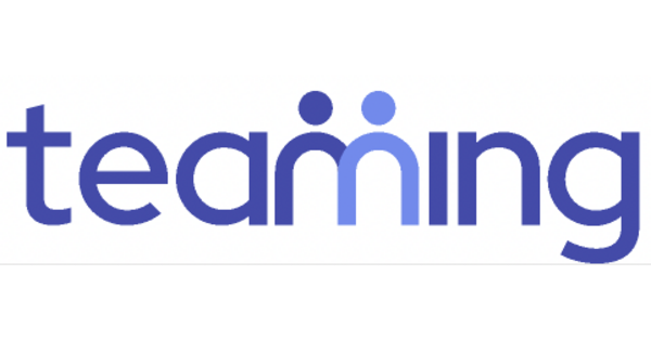 Teaming Pricing 2025