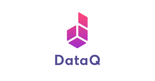 DataQ Reviews 2025: Details, Pricing, & Features | G2