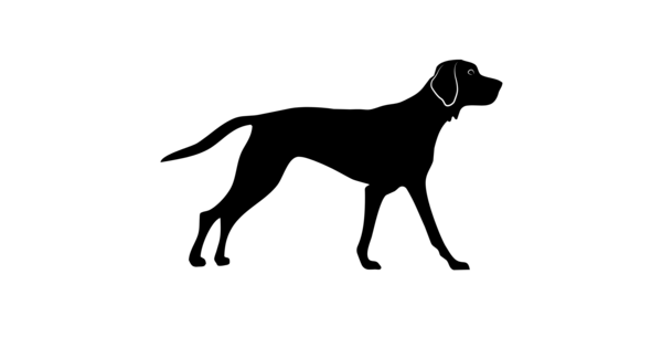 Hunter Digital Pricing