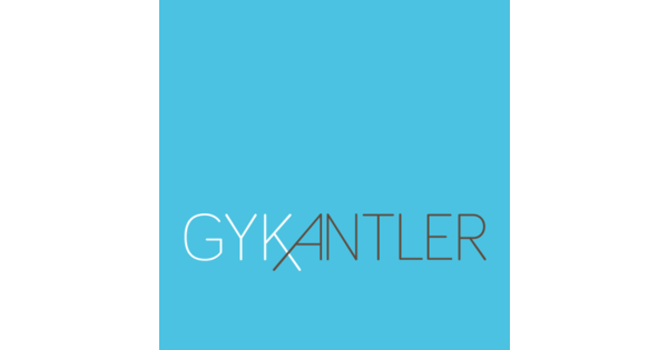 GYK Antler Reviews 2025: Details, Pricing, & Features | G2