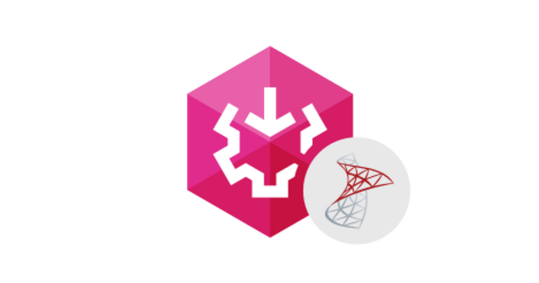 SQL Server SSIS Components by Devart Pricing 2025