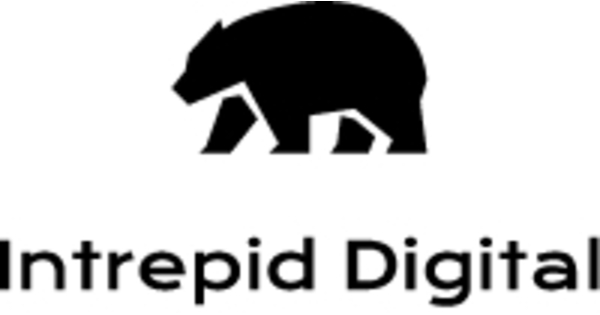 Intrepid Digital Reviews 2025: Details, Pricing, & Features | G2