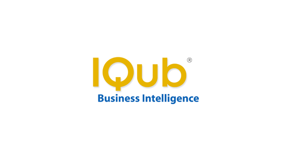 IQub Business Intelligence Reporting Solutions Features | G2