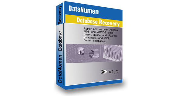 DataNumen Database Recovery Reviews 2025: Details, Pricing, & Features | G2