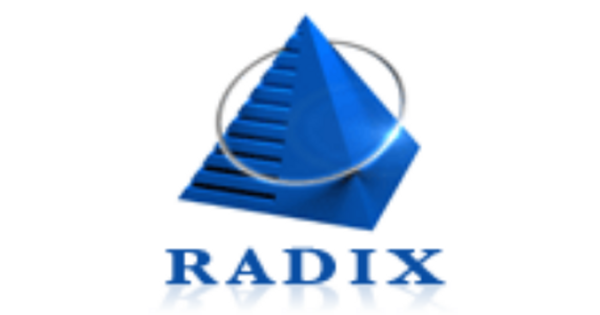 Radixweb Reviews 2022: Details, Pricing, & Features | G2