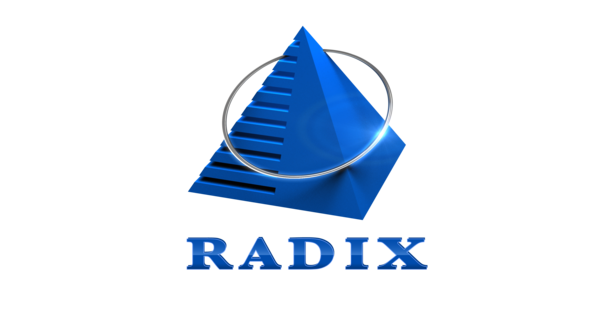 Radixweb Reviews 2025: Details, Pricing, & Features | G2