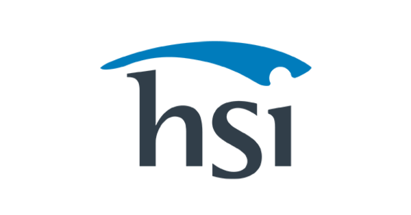 HSI Pricing 2025