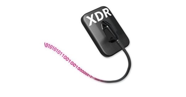 XDR Dental Imaging Software Reviews 2025: Details, Pricing, & Features | G2