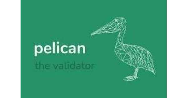 Datametica Pelican – The Data Validator Reviews 2025: Details, Pricing ...